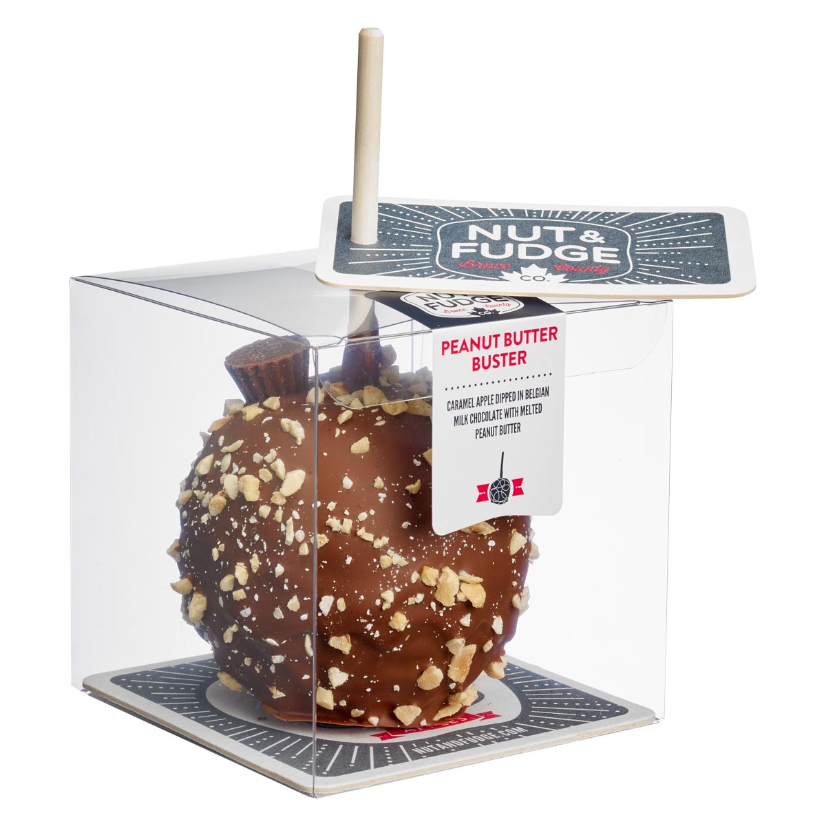 Peanut Butter Buster Caramel Apple – Nutandfudge.com